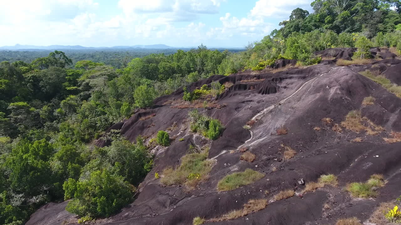 Savane Roche Virginie Inselberg. Ecosystem In Guiana Rain Forest By Drone Free Stock Video ...